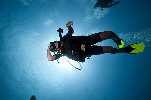 Buceo Cancún para Principiantes en MUSA y Arrecife| Solo Buceo Cancún