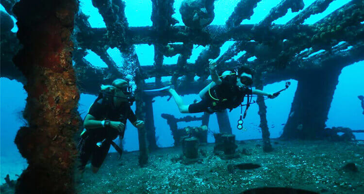 Top Rated Scuba Diving Cancun Tours | Solo Buceo Cancun